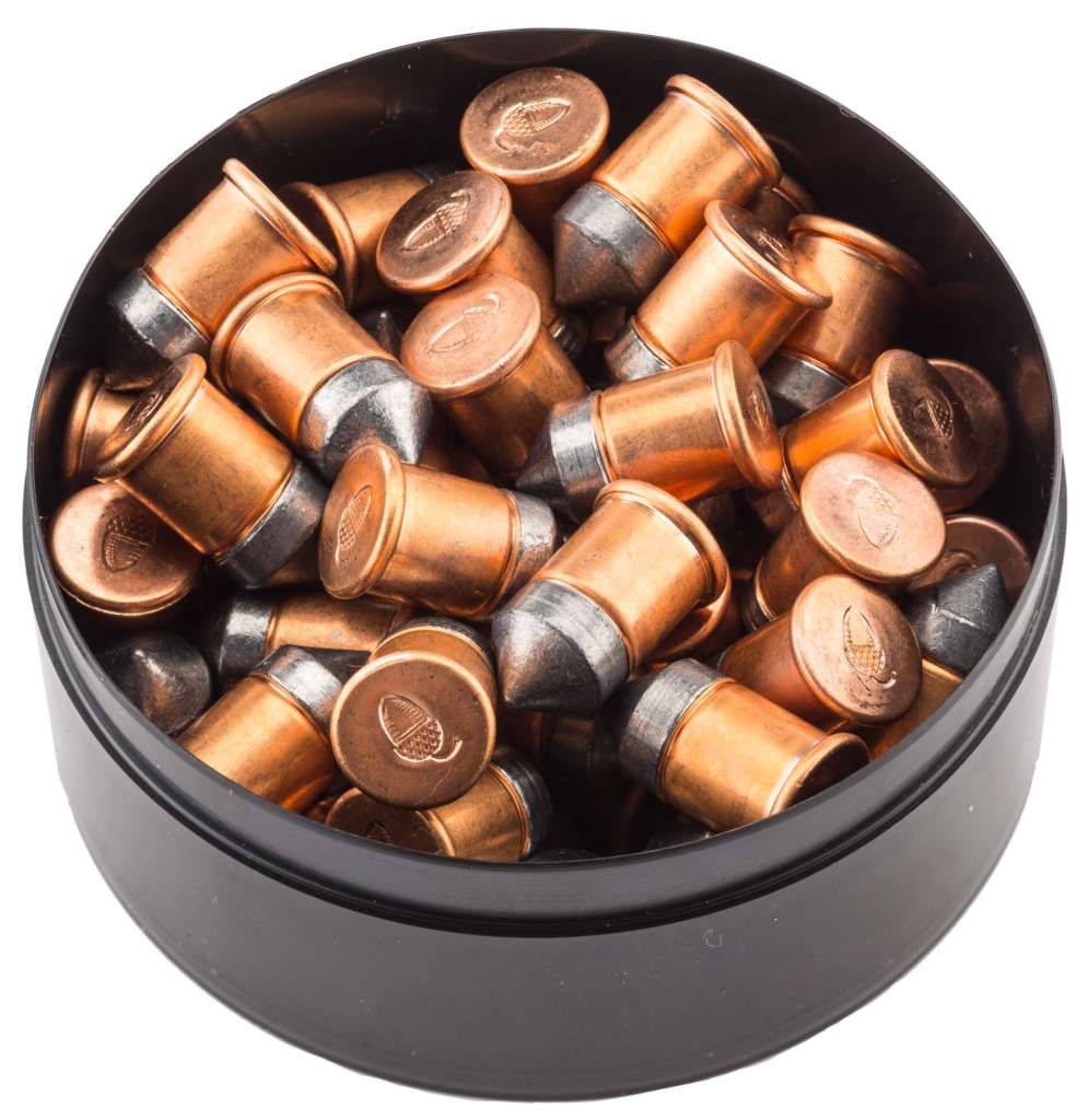 BOSQUETTES RWS 9MM FLOBERT PAR 50 - Armurerie Vauban